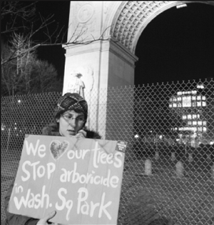 Keep our trees alive – amNewYork