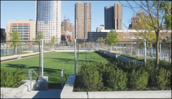 Pier 25 opens with significant facelift | amNewYork
