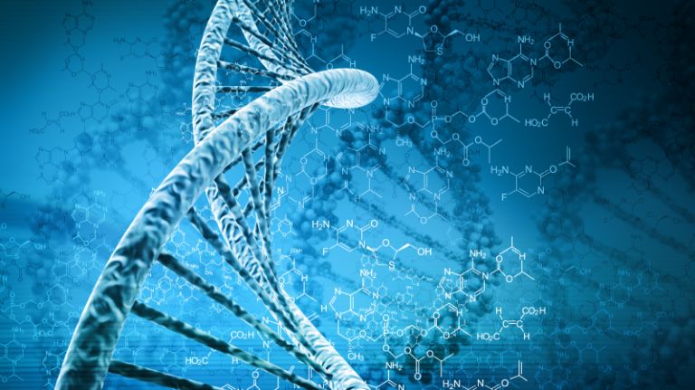 O’Reilly: The handwriting in our DNA | amNewYork