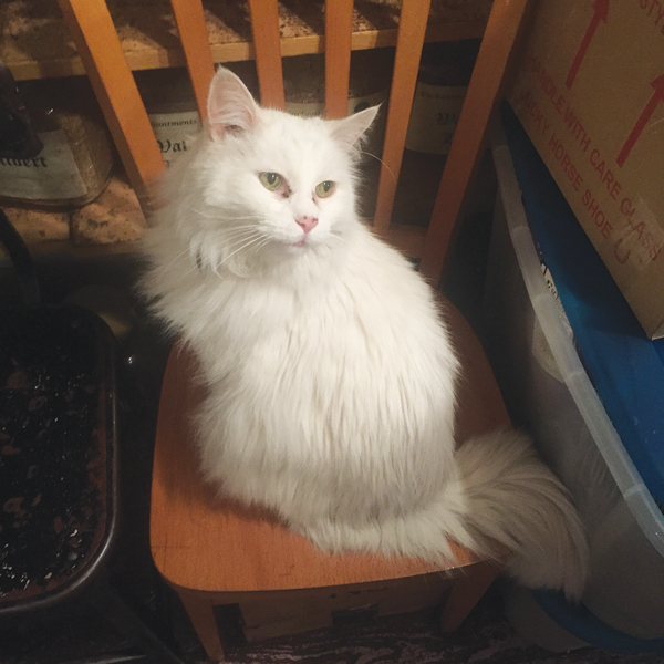 Lots to like about Zero – amNewYork