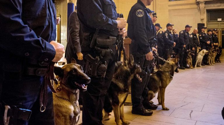 MTA dogs named for fallen officers, soldiers, graduate from terrorism ...
