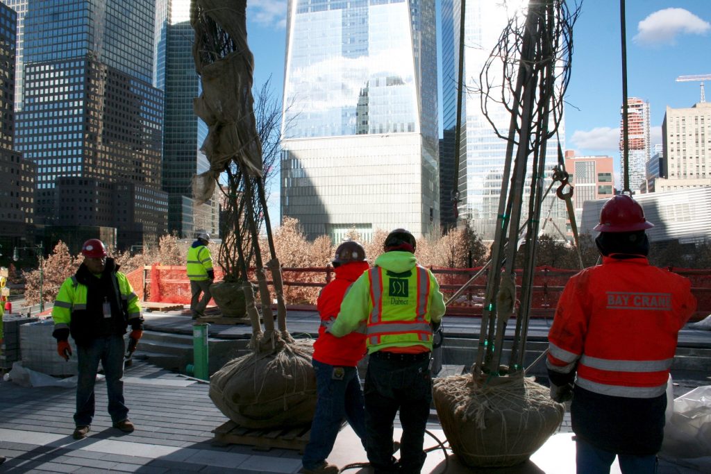 World tree center | amNewYork