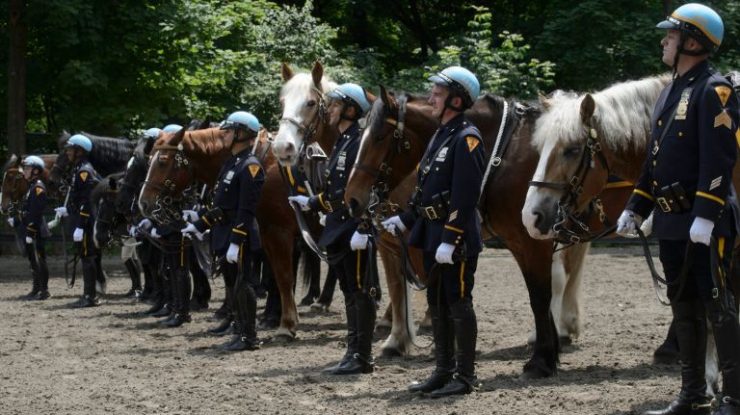 NYPD Mounted Unit graduates horses named for fallen officers | amNewYork
