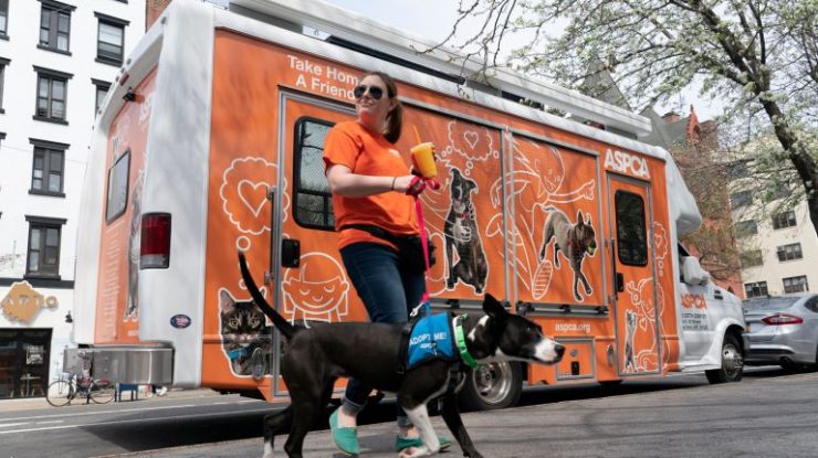 ASPCA launches mobile adoption season with high-tech van | amNewYork