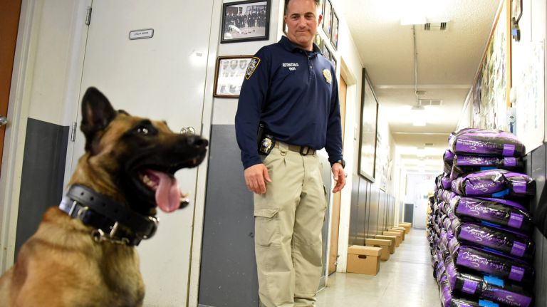 Can I pet an NYPD K-9, other questions about NYC’s ‘ruffest’ hero dogs ...