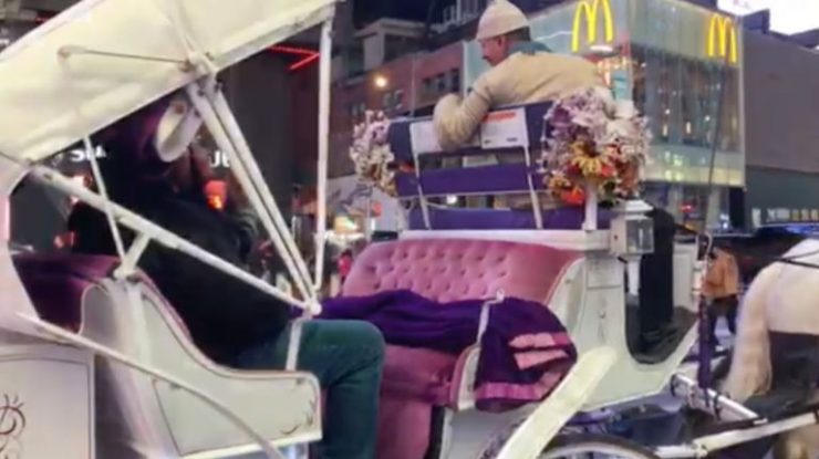 Horse-drawn carriage drivers caught in apparent violation of new hack ...
