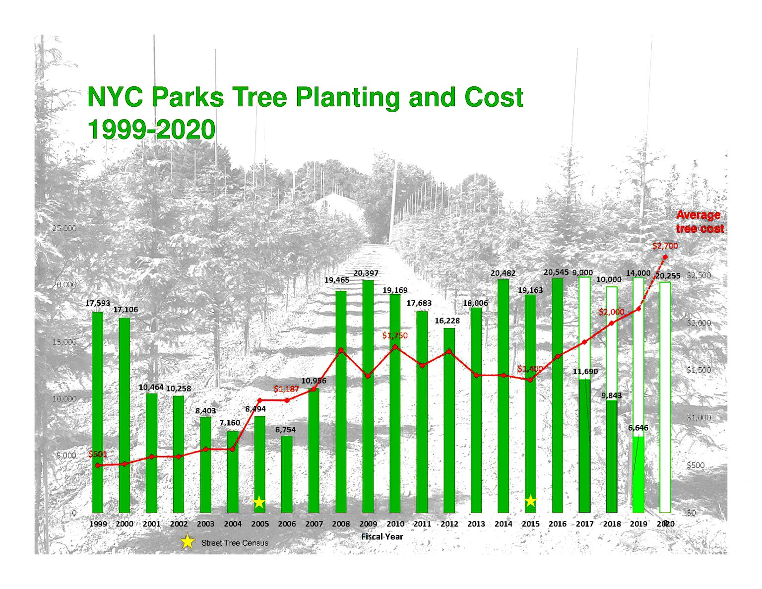 More green for less green: NYC tree planting programs slows due to ...