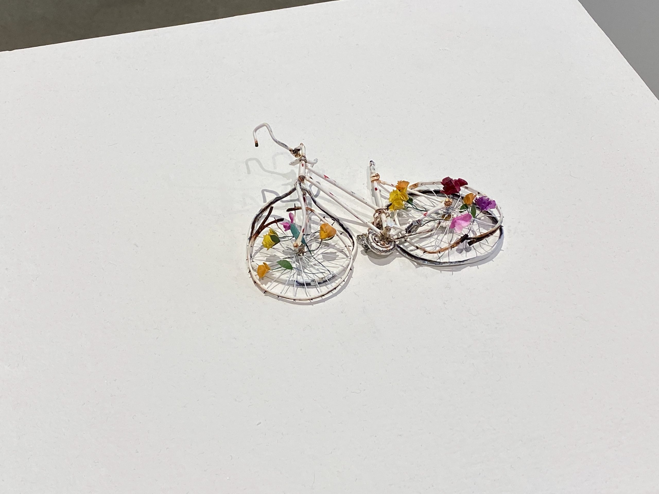 Brooklyn Exhibit Sparks Conversations on Death