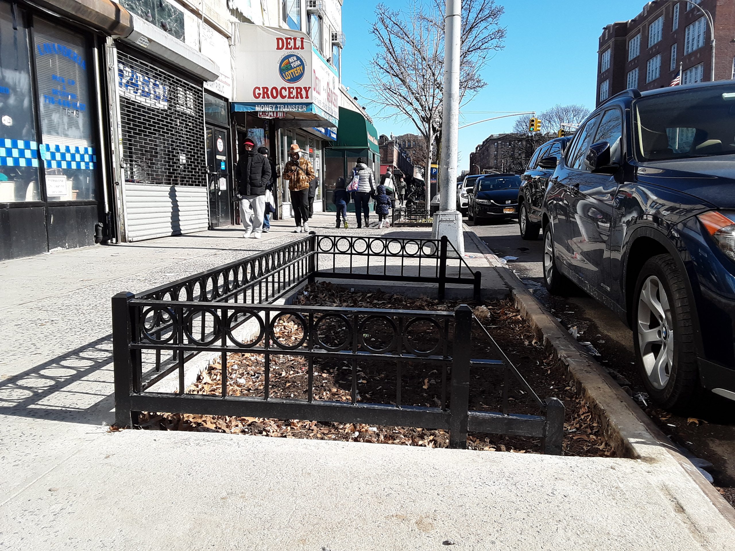 More green for less green: NYC tree planting programs slows due to ...