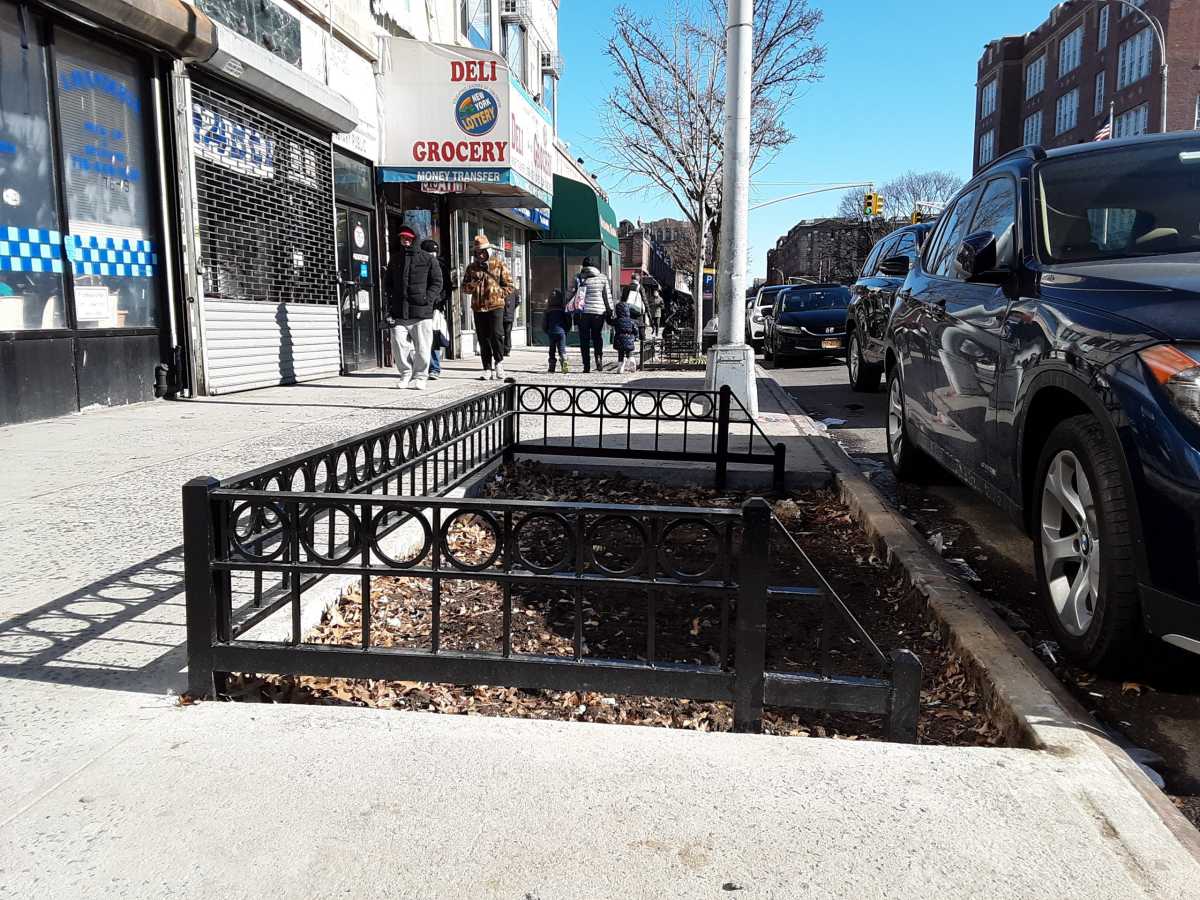 More green for less green: NYC tree planting programs slows due to ...