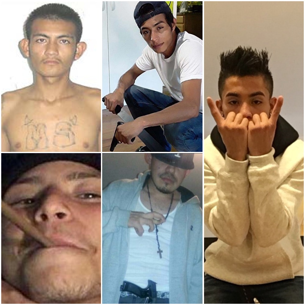 Ten alleged gang members charged for their roles in three murders and ...