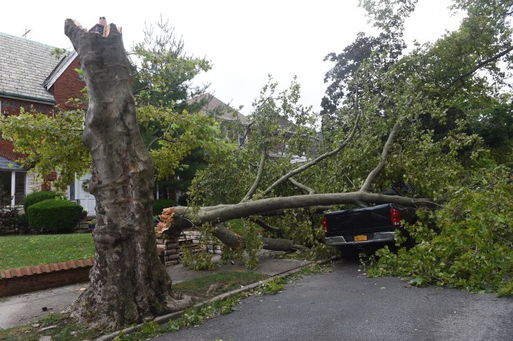 Falling tree kills Queens man in his van as more than 2,000 trees fell ...
