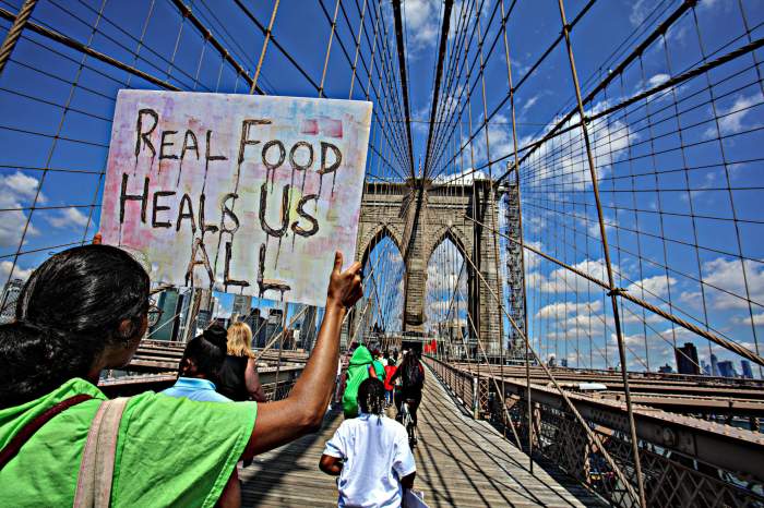 Op-ed | Support needed to help combat Bronx’s food desert | amNewYork