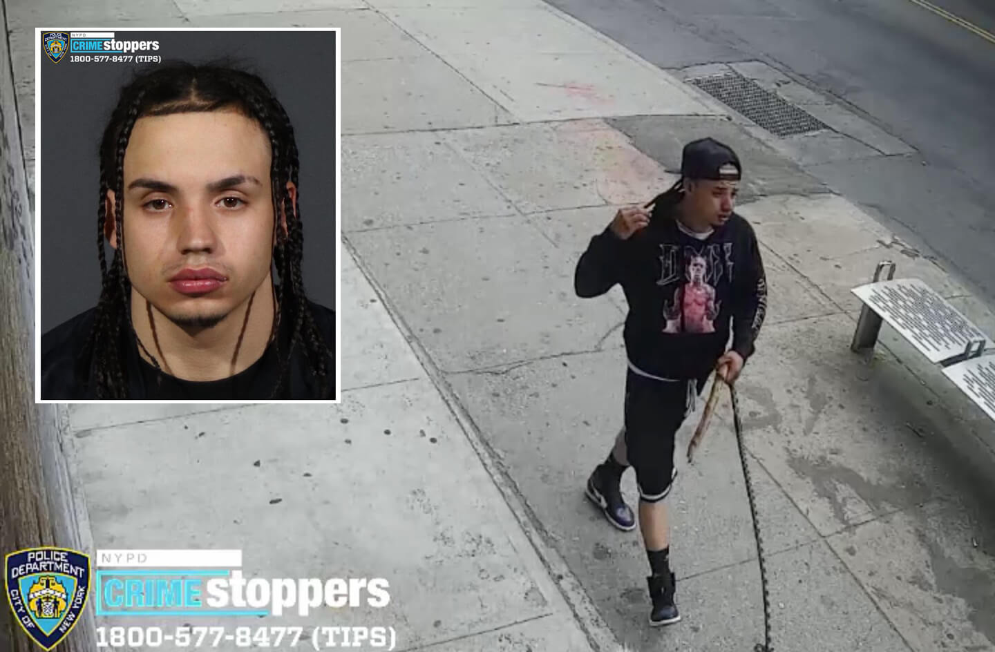 Brooklyn predator used dog to lure away young girls off the street ...