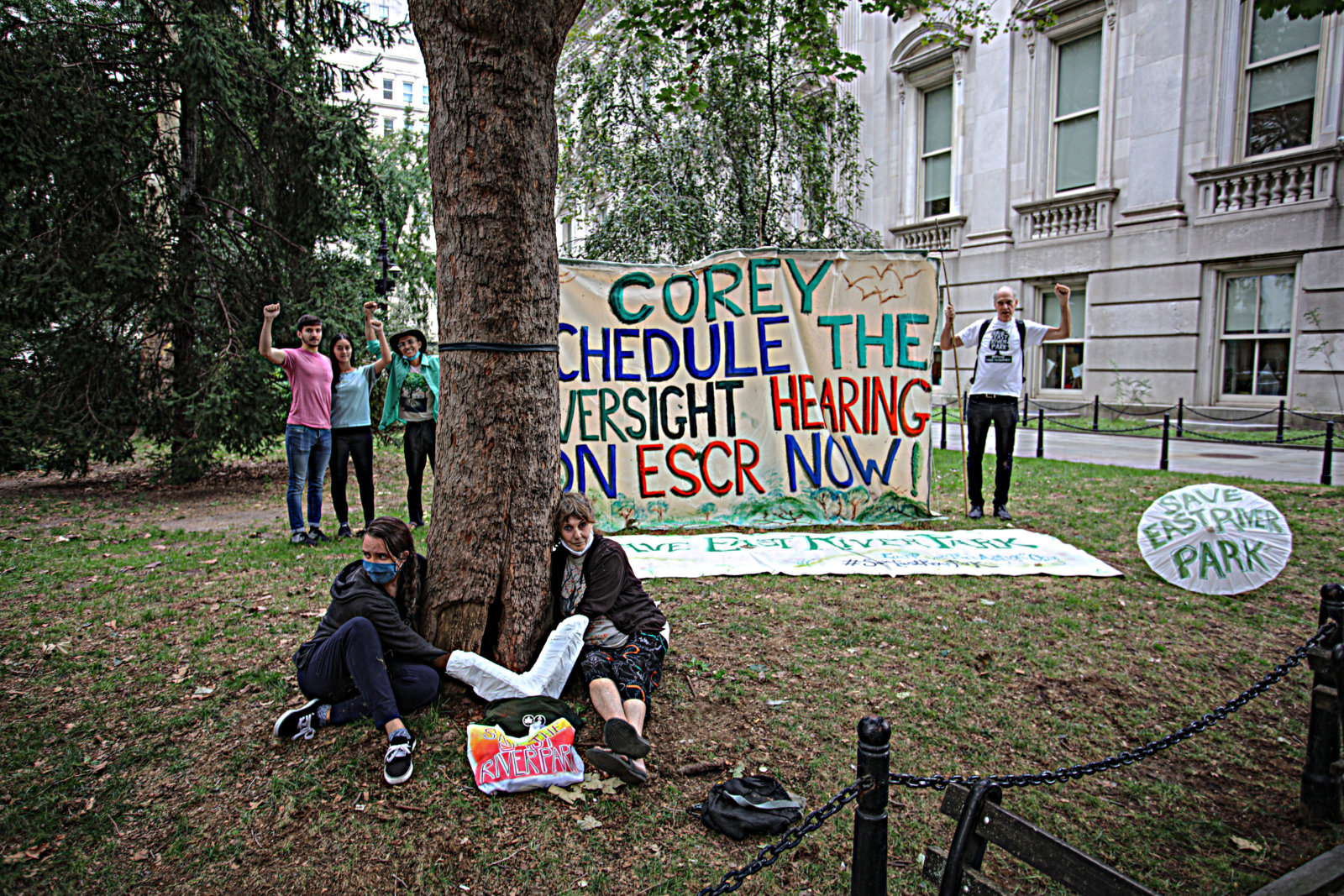 Tree-hugging activists chain themselves at City Hall to protest East ...
