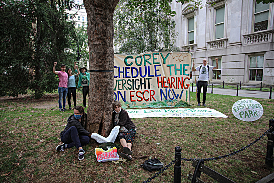 Tree-hugging activists chain themselves at City Hall to protest East ...