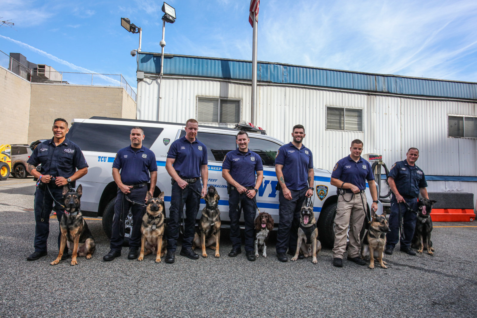 EXCLUSIVE: NYPD’s newest canine members specially bred to sniff out ...
