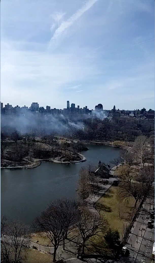 Cops seek arsonist who set small Central Park fires | amNewYork
