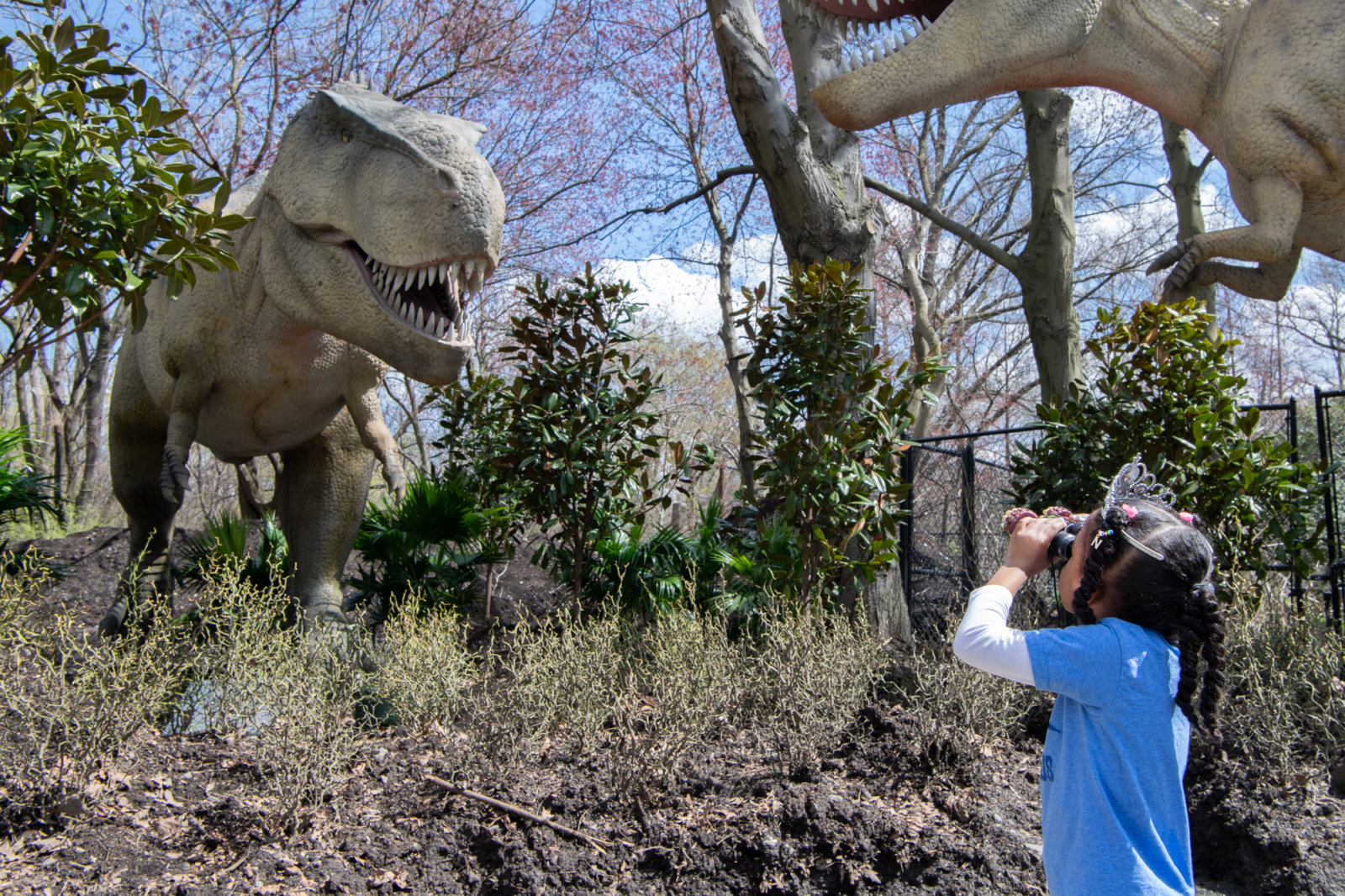 Bronx Zoo reopens immersive ‘Dinosaur Safari’ for the summer season ...