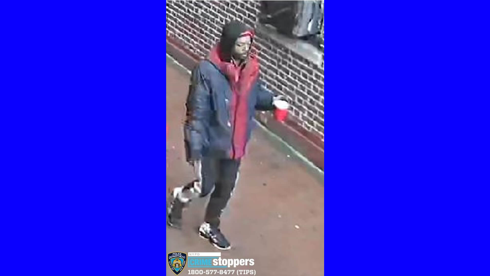 Suspect caught on camera beating man on Bronx street during failed ...