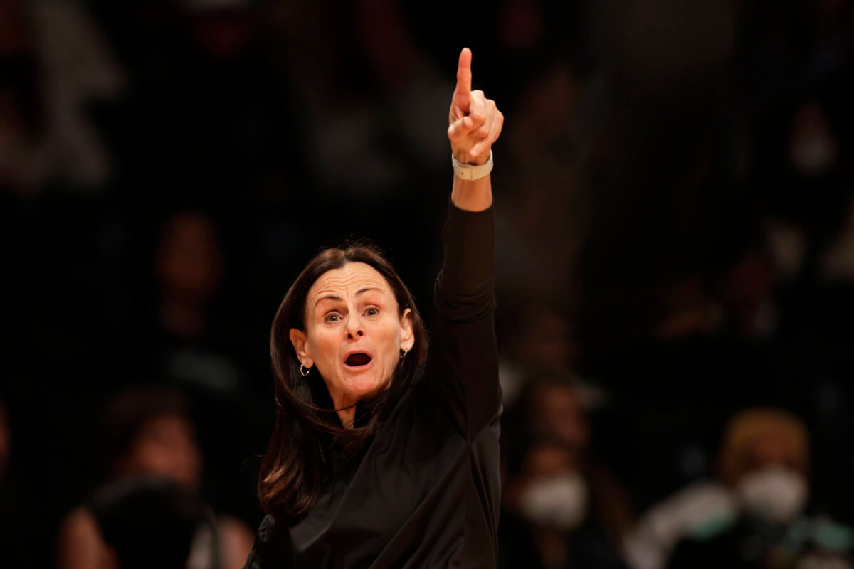 Enraged Topless Protestors air their disgust during WNBA Game | amNewYork