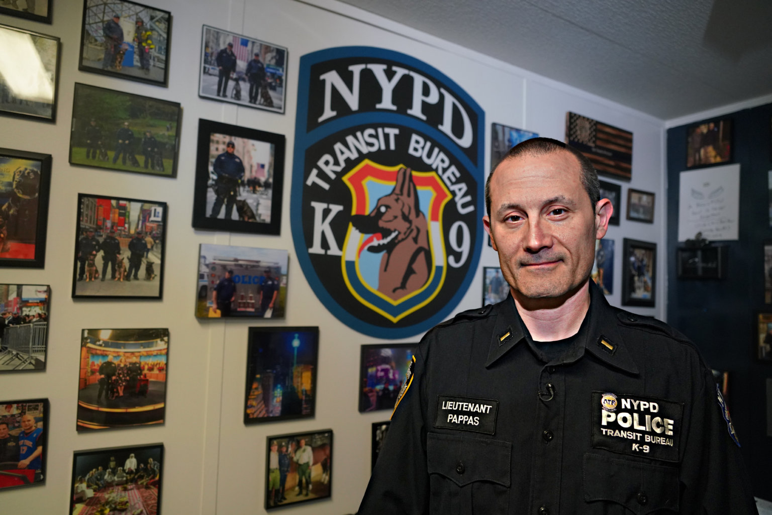 Exclusive: NYPD is TREDDing new ground with K-9 unit | amNewYork
