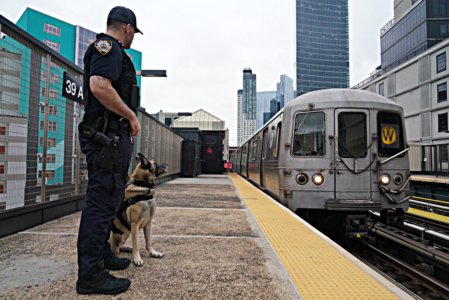 Exclusive: NYPD is TREDDing new ground with K-9 unit | amNewYork