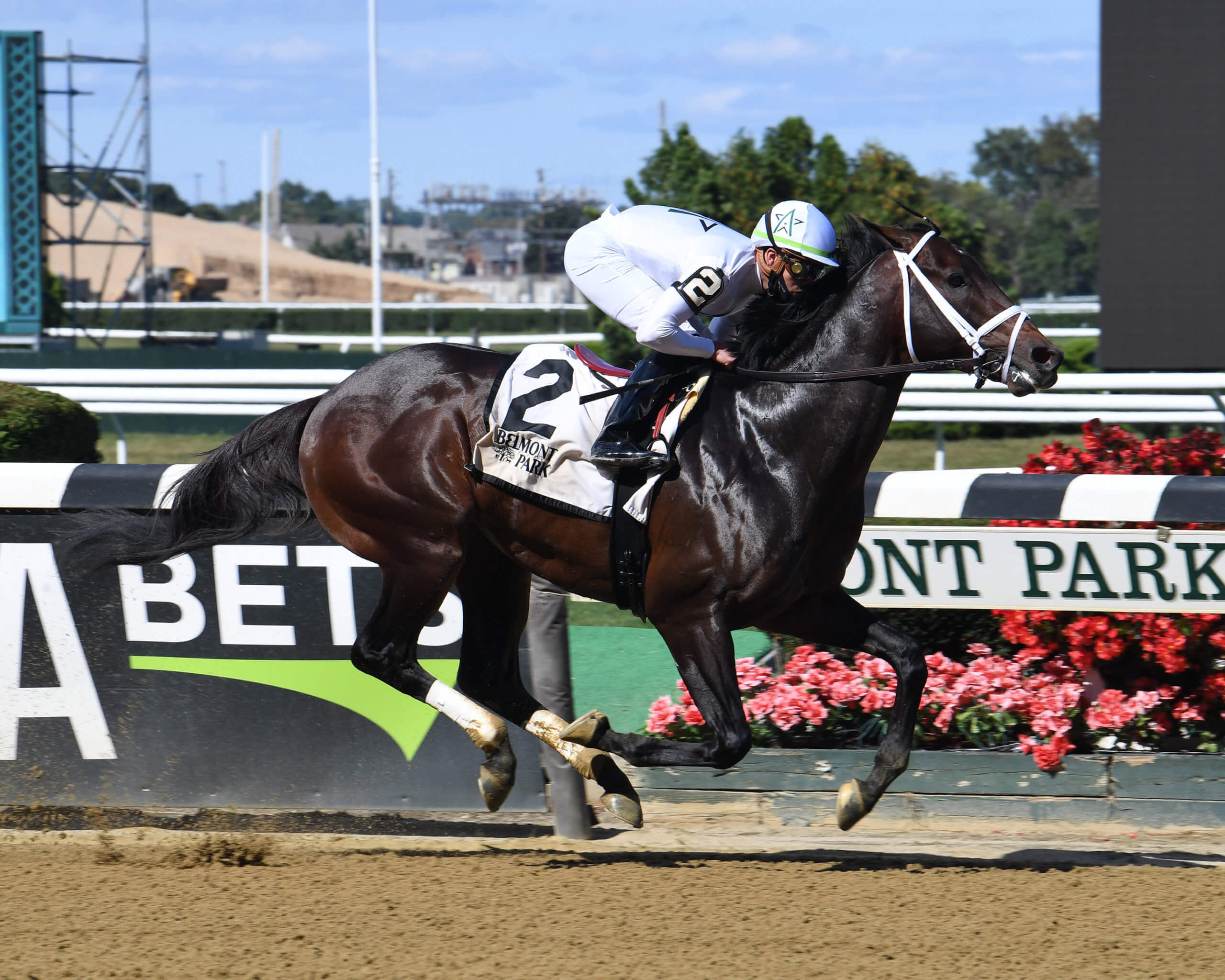 amNY at the Track: Loaded Whitney Stakes field showcases top older ...