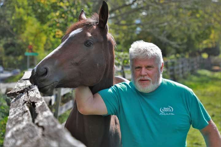 Animal advocate recounts discovery of collapsed Midtown carriage horse ...