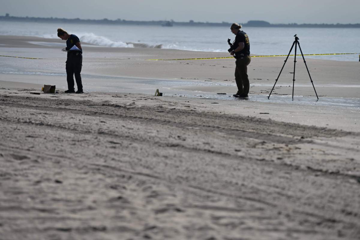 Coney Island beach horror: Mom of three dead children may face charges ...