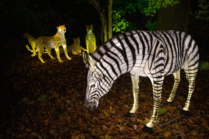 Run for sloths this spring at annual ‘Run for the Wild’ 5K at the Bronx ...