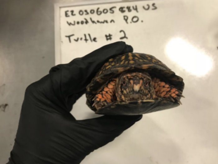 Happy Land Social Club arsonist: Who Julio Gonzalez was and what he did ...