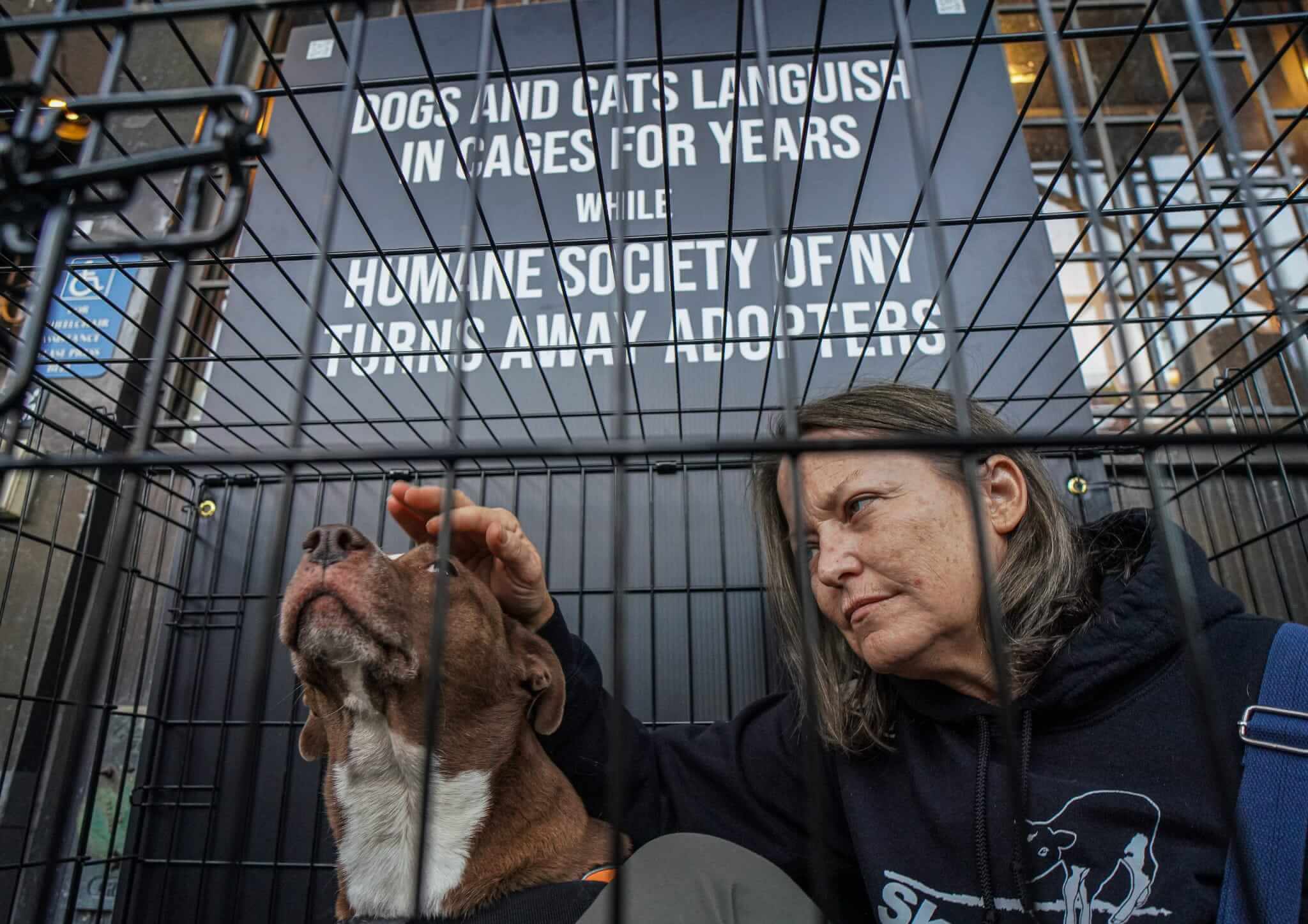 Protesters Demand Policy Changes at Humane Society’s Midtown Facility
