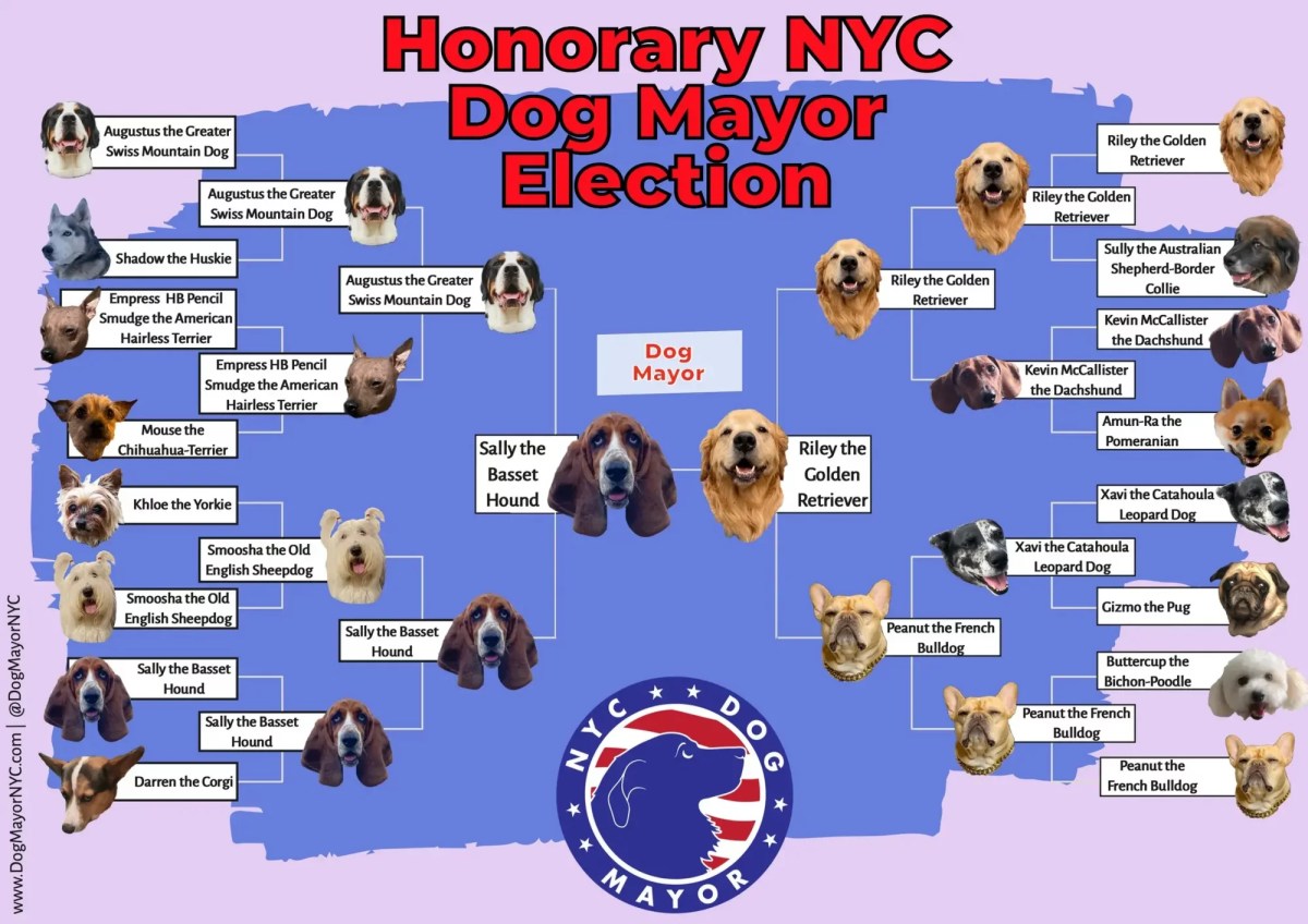 NYC’s New Canine Mayor Brings Furry Leadership to City