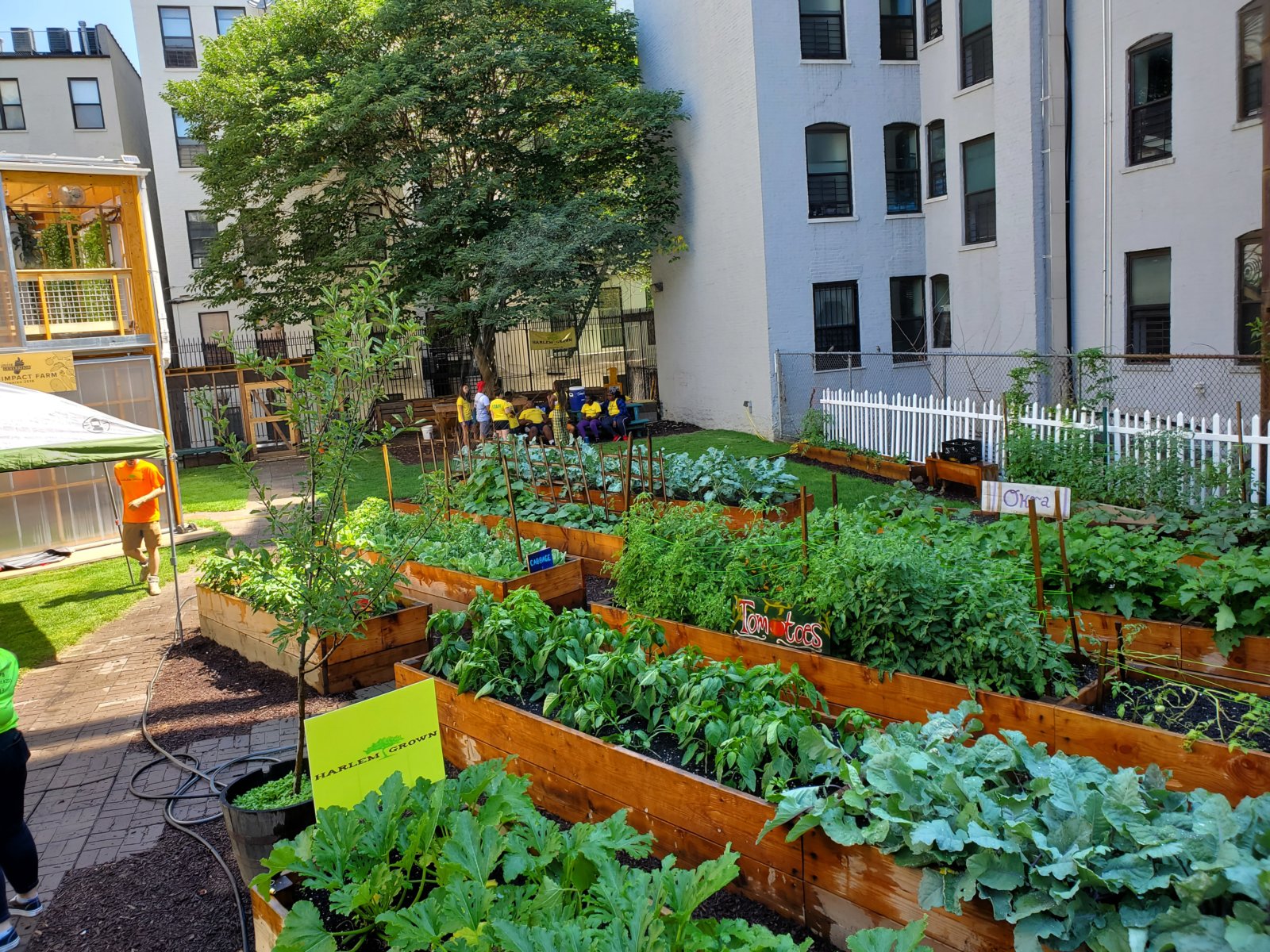 Just deadly! Sunset Park artist channels Seven Deadly Sins in new comic ...