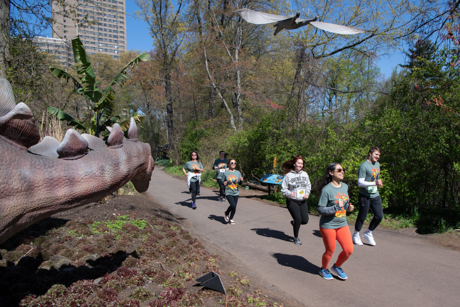 Run for sloths this spring at annual ‘Run for the Wild’ 5K at the Bronx ...