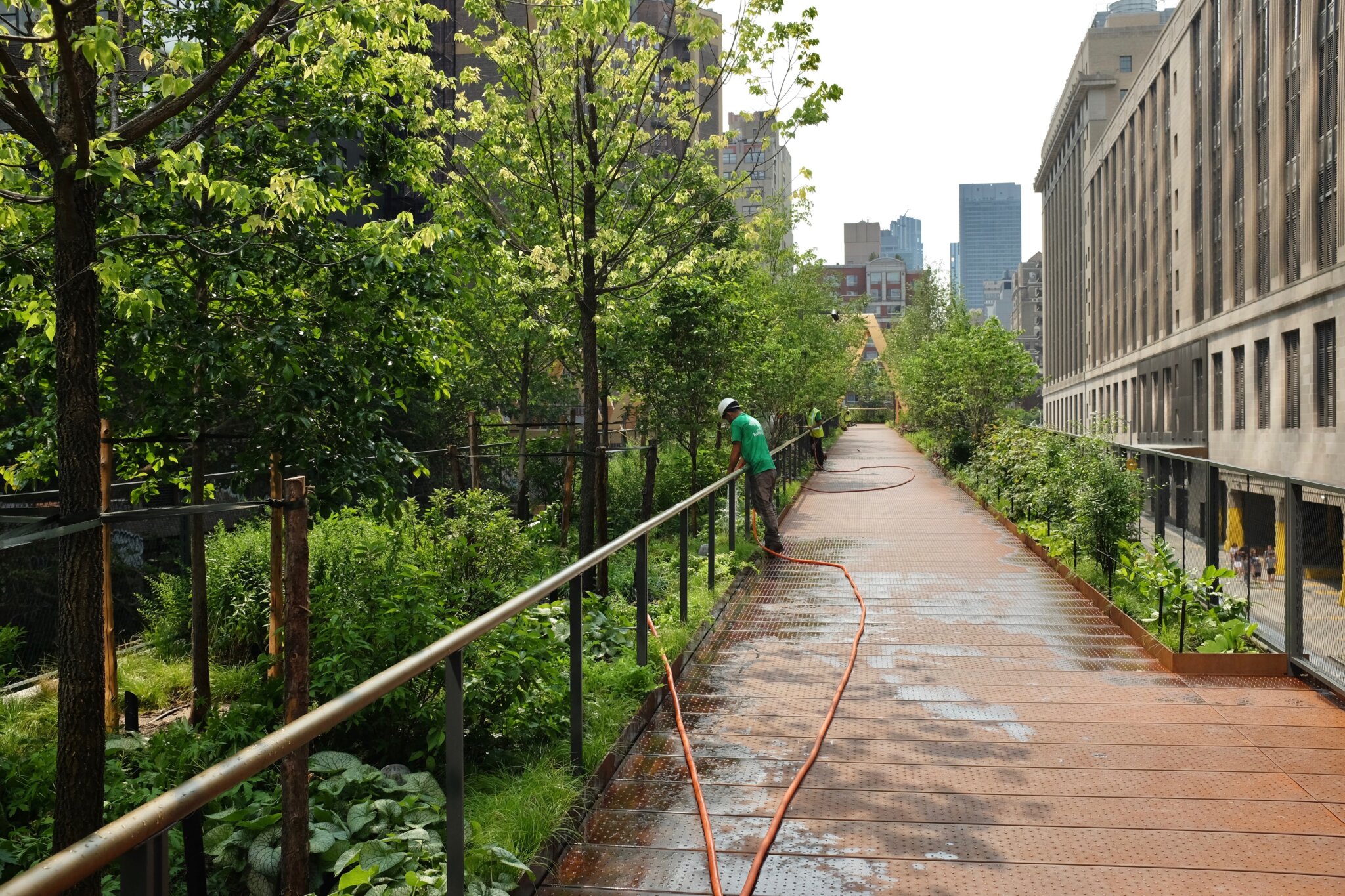 Serenity above: High Line opens new wooden bridge to Moynihan Train ...