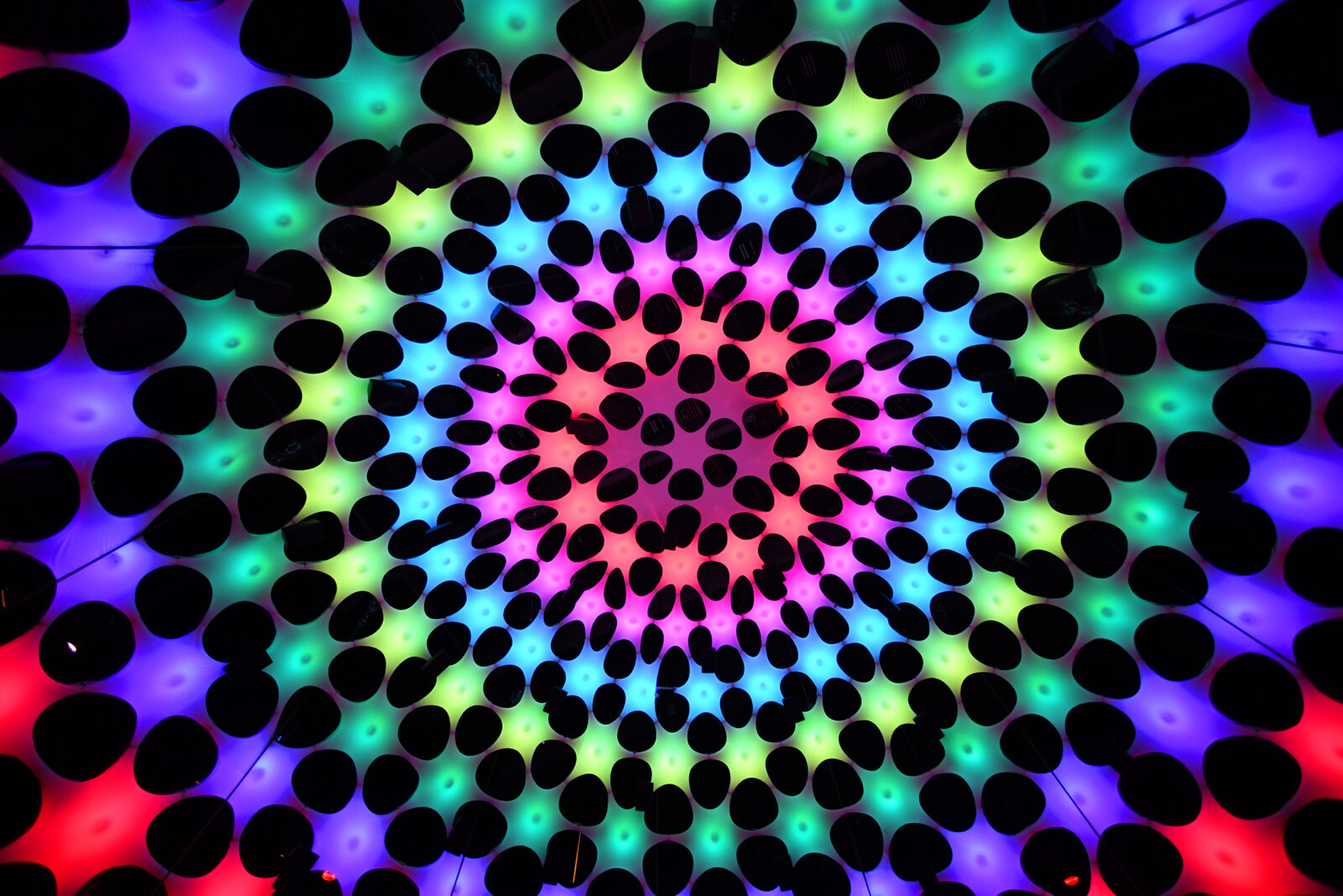 Sonic Sphere Venue Delivers Unforgettable Music Experience