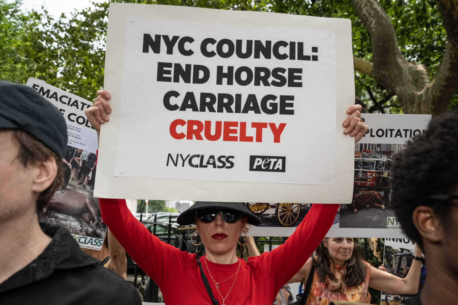 Saddle-up for court: Union for horse-carriage drivers sue NYCLASS over “malicious lies” about ...
