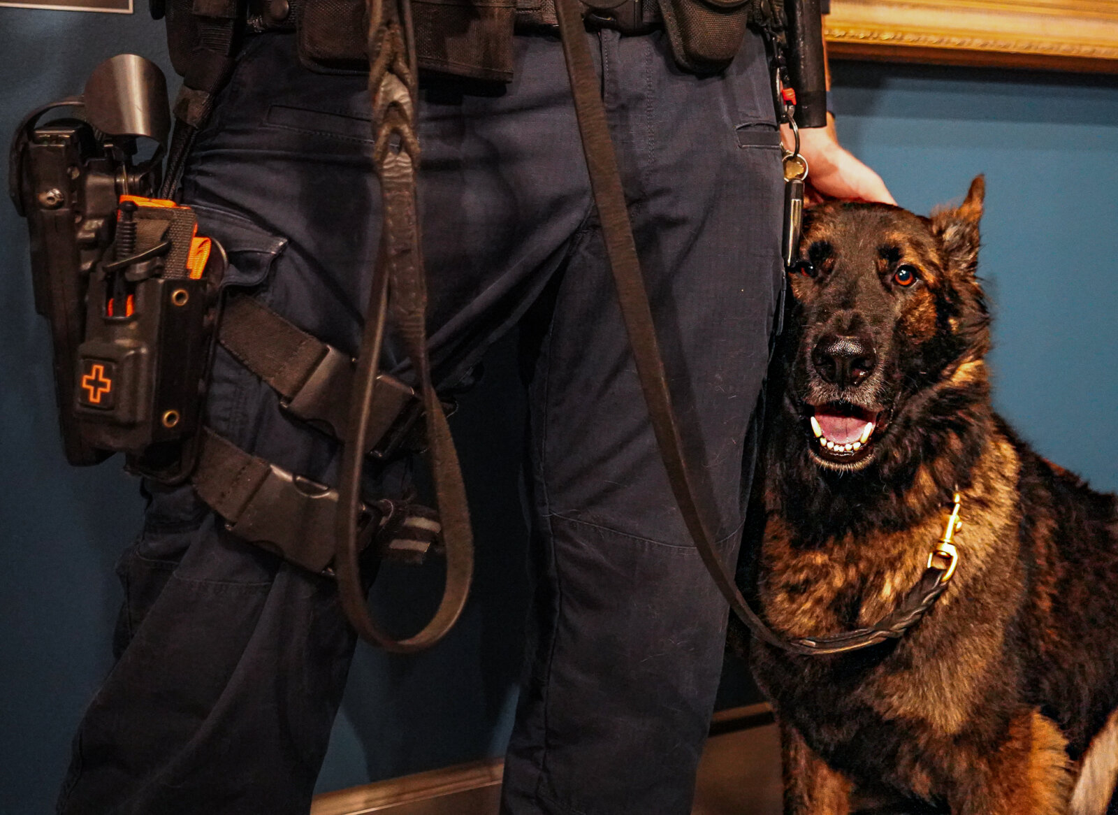 Hero police dog that perished during terror attacks honored at 9/11 ...