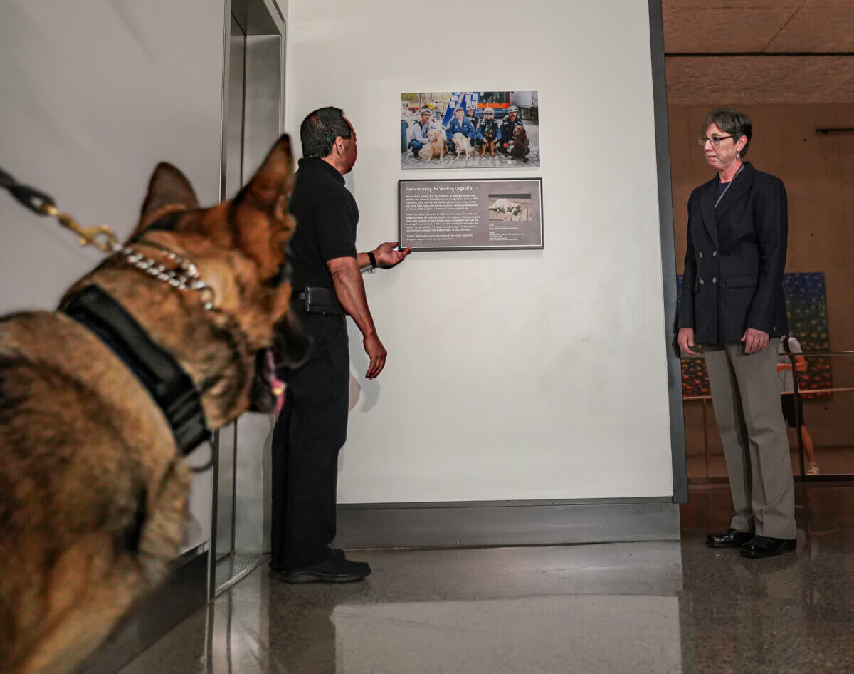 Hero police dog that perished during terror attacks honored at 9/11 ...