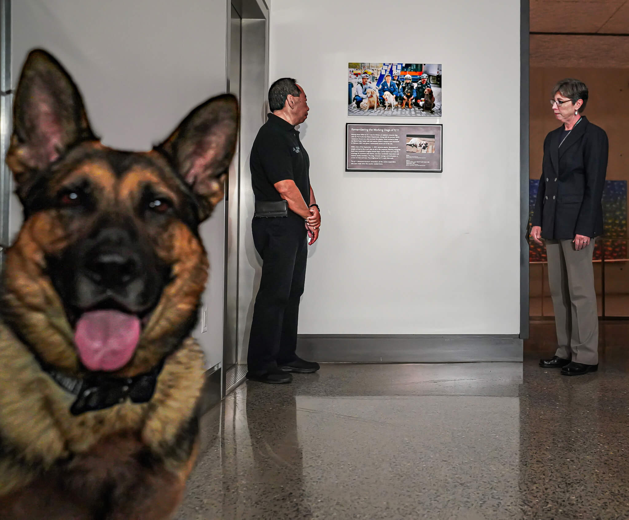 Hero Police Dog Honored at 9/11 Museum