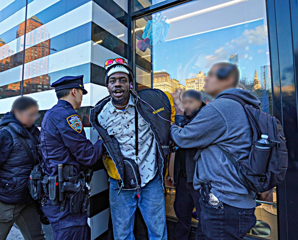 SPECIAL REPORT | The NYPD is on a mission to stop fare evasion. Here’s why it matters. | amNewYork