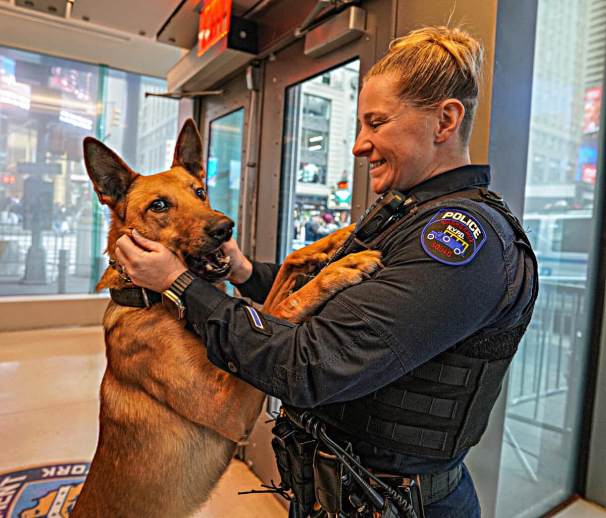 NYPD’s furriest crime-fighters grace 2024 Police Foundation Calendar ...