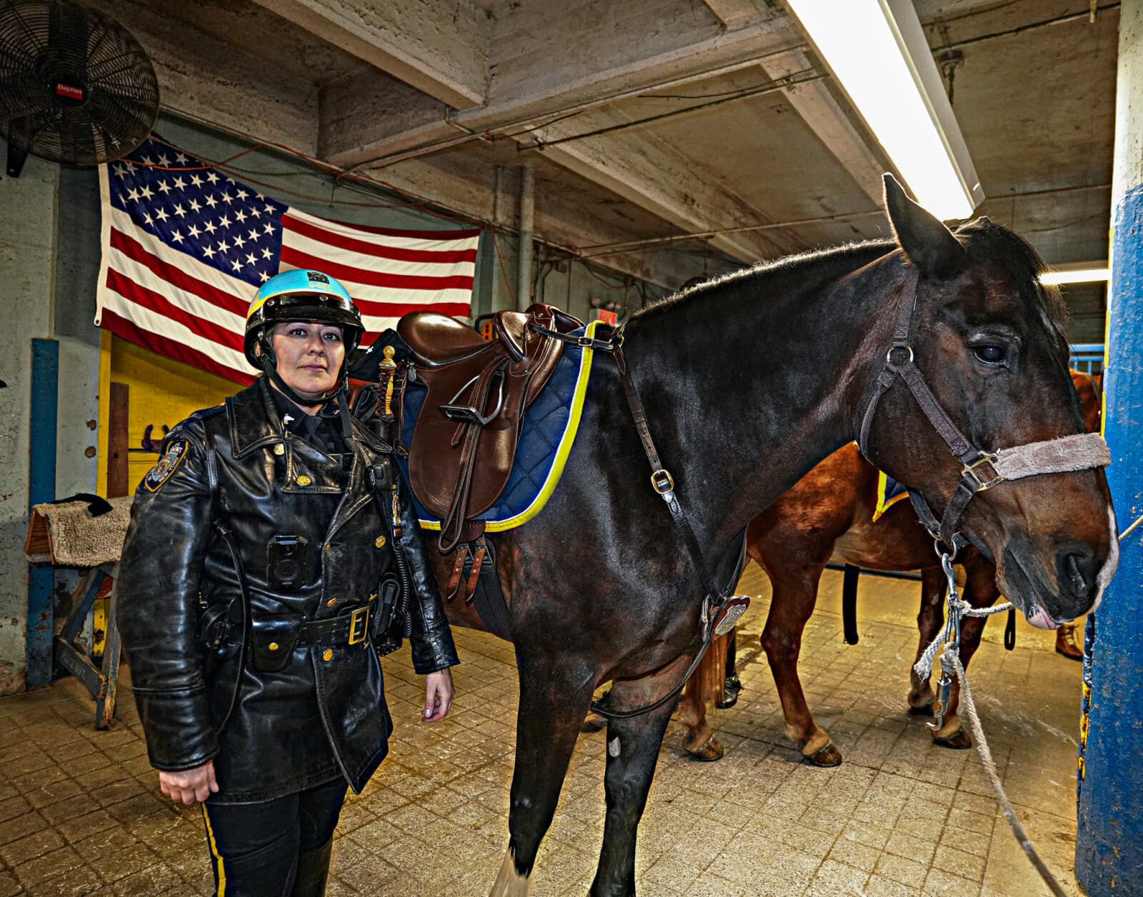 ‘They came in like angels’: Family praises NYPD mounted unit for saving ...