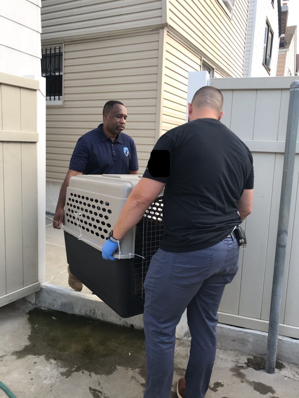 NYPD Animal Cruelty Squad Saves NYC Pets Daily