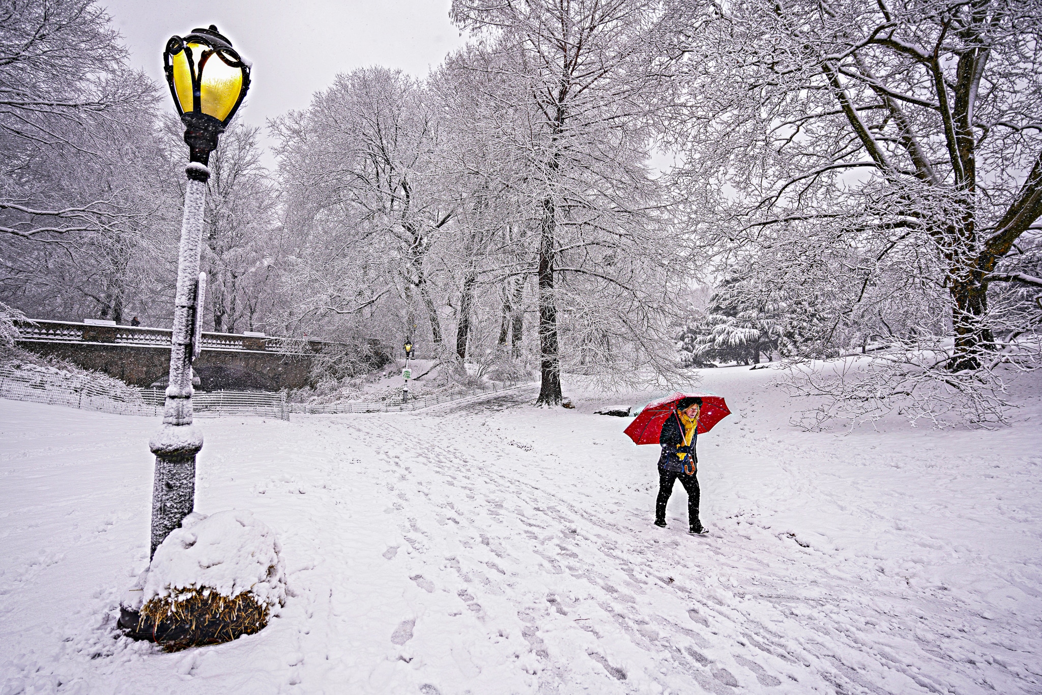 SEE IT: New Yorkers flock to Central Park as first major snowstorm in 2 ...