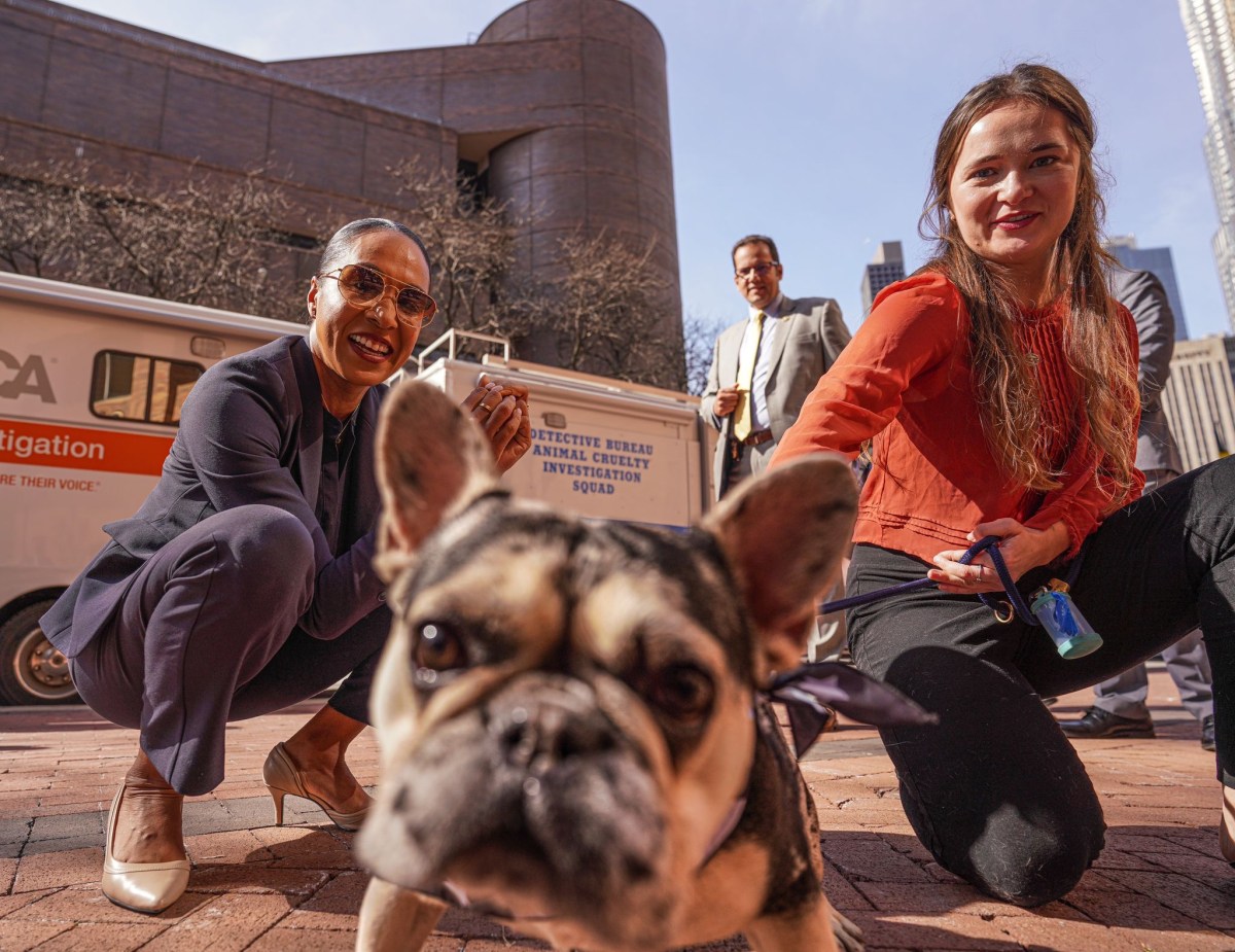 Ending animal cruelty: NYPD celebrates 10 year collaboration ...