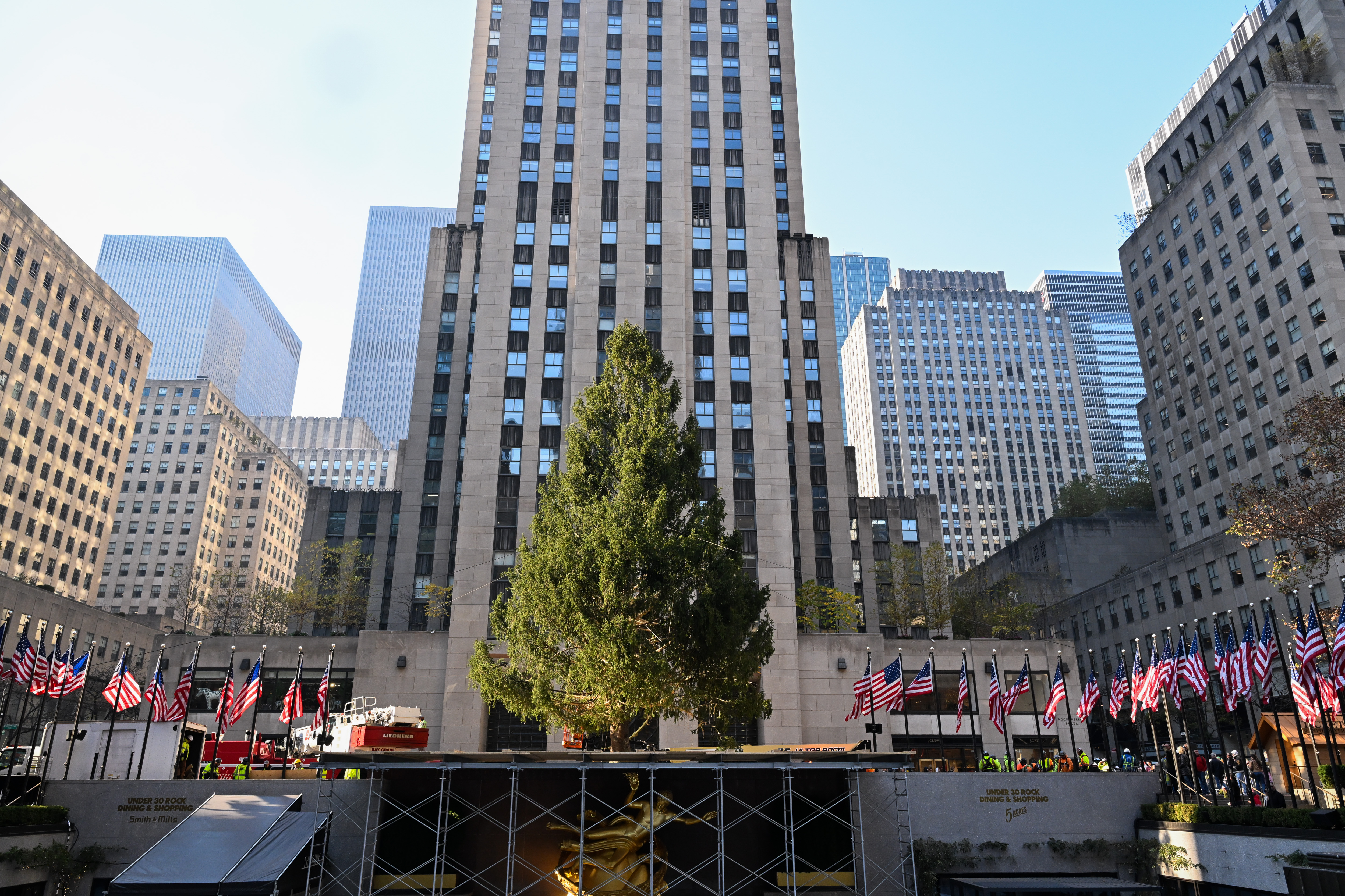 Rockefeller Center tree arrives from Massachusetts