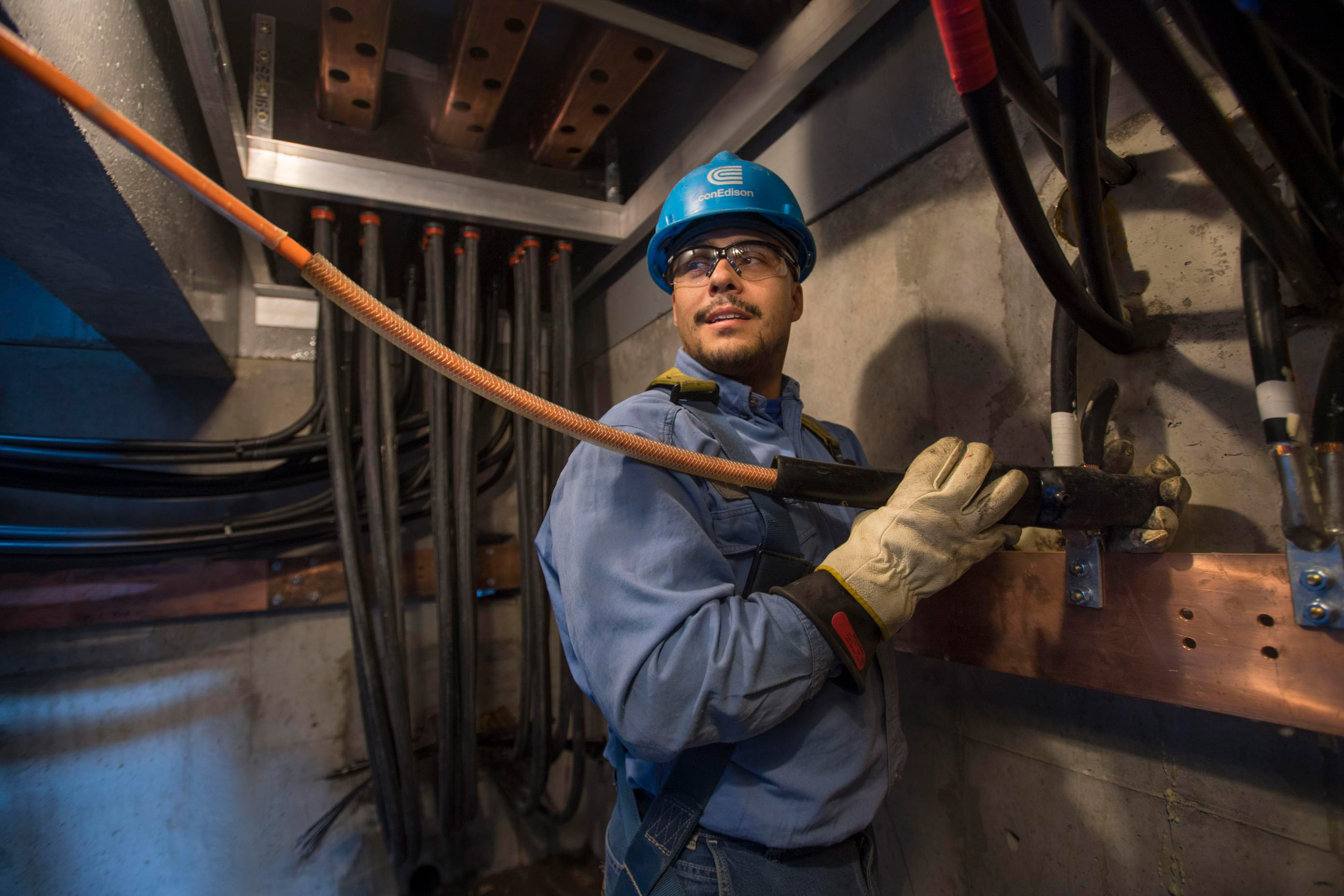 Bronx Zoo & Con Edison Team Up on Green Energy